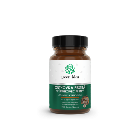 Coriolus - capsules – Adaptogen - harmonization of overall health – Green idea
